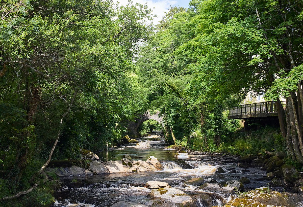 Retirement Homes for sale in Devon | Ivybridge | McCarthy Stone