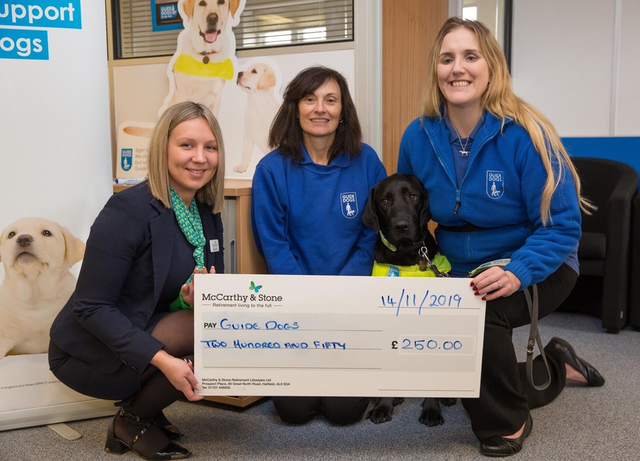 Guide Dogs UK Welwyn Garden City Gets 250