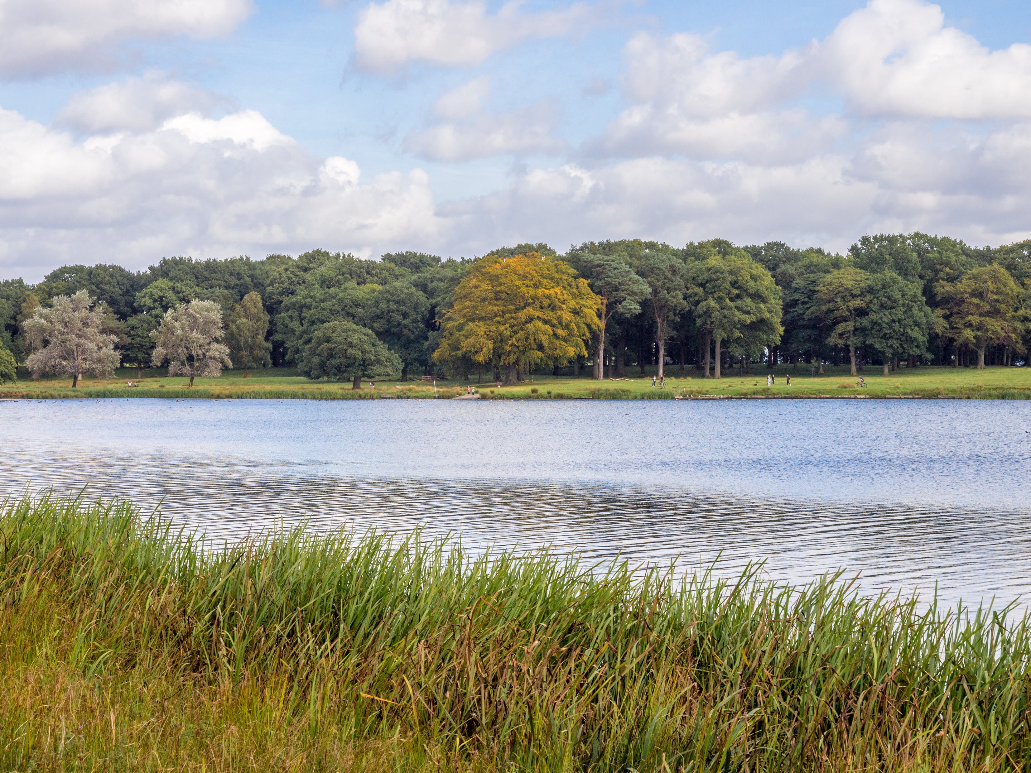 Retirement homes in Knutsford - McCarthy Stone