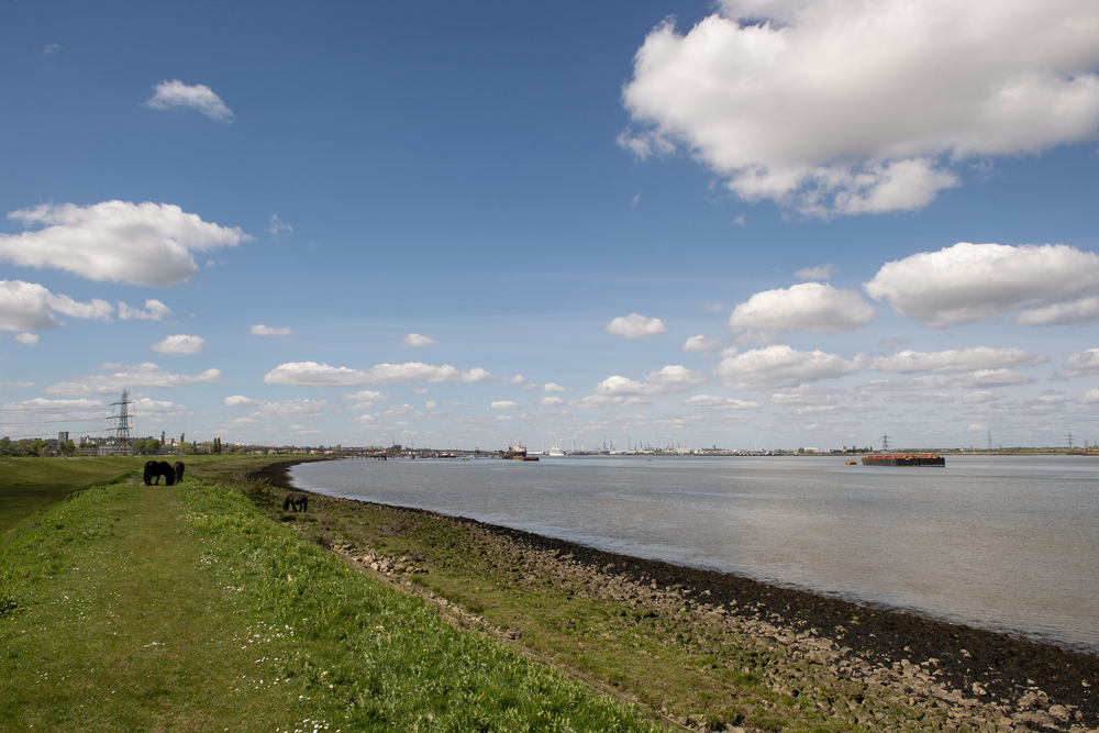 Retirement Homes for sale in Kent | Gravesend | McCarthy Stone